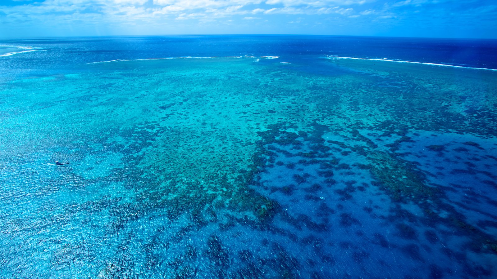 Cairns cheapest outer barrier reef tours - All Cairns Tours
